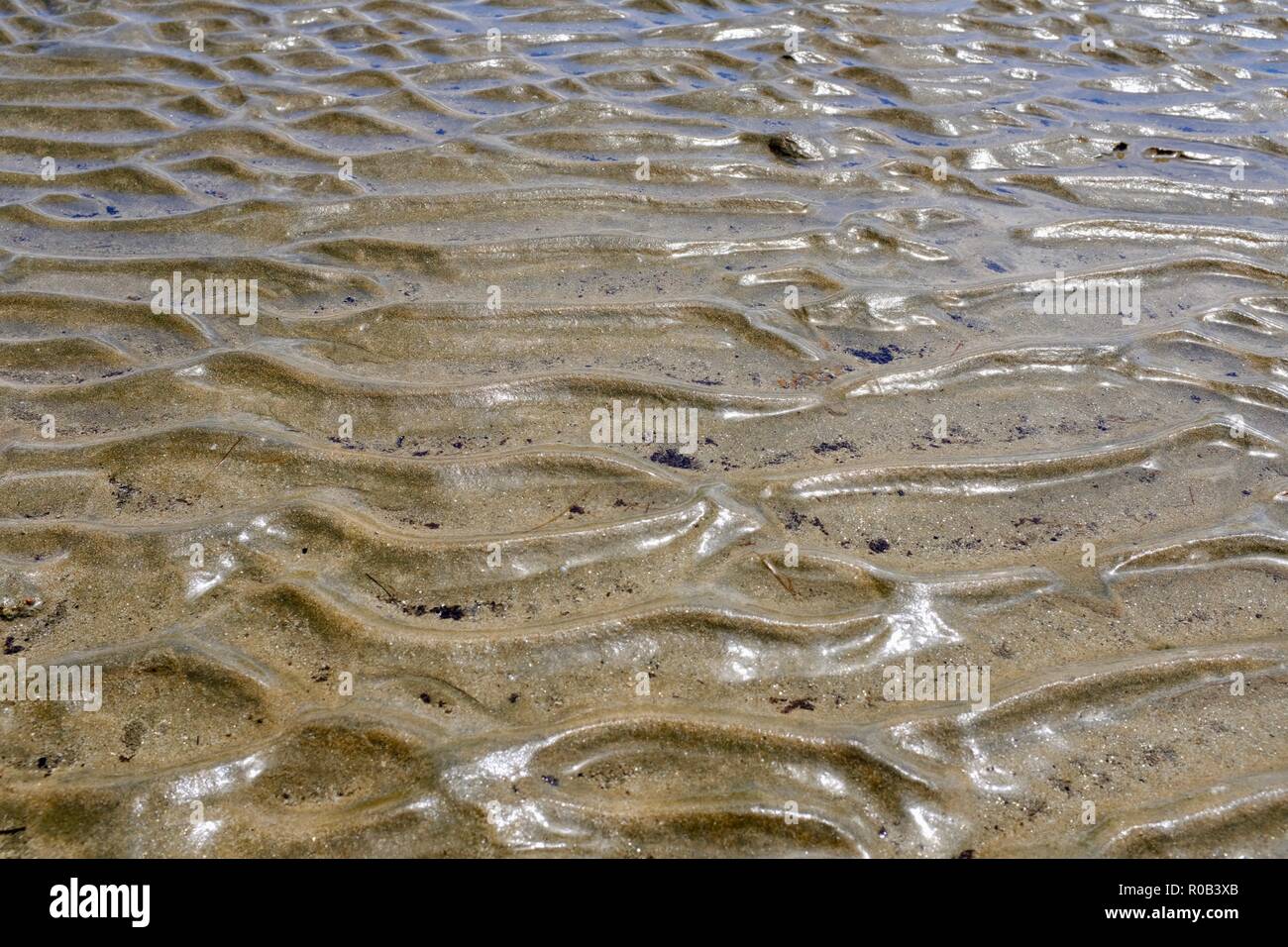 Balgal beach, QLD, Australia Stock Photo - Alamy