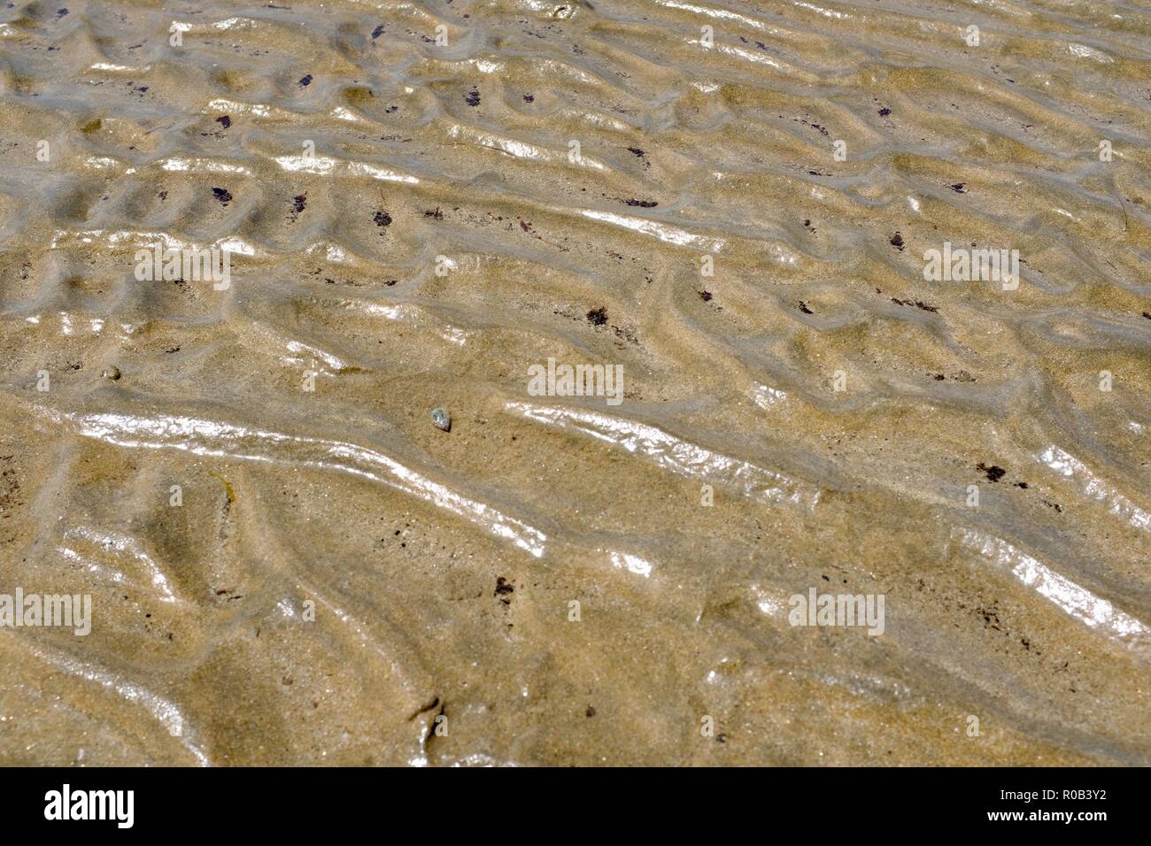 Balgal beach hi-res stock photography and images - Alamy