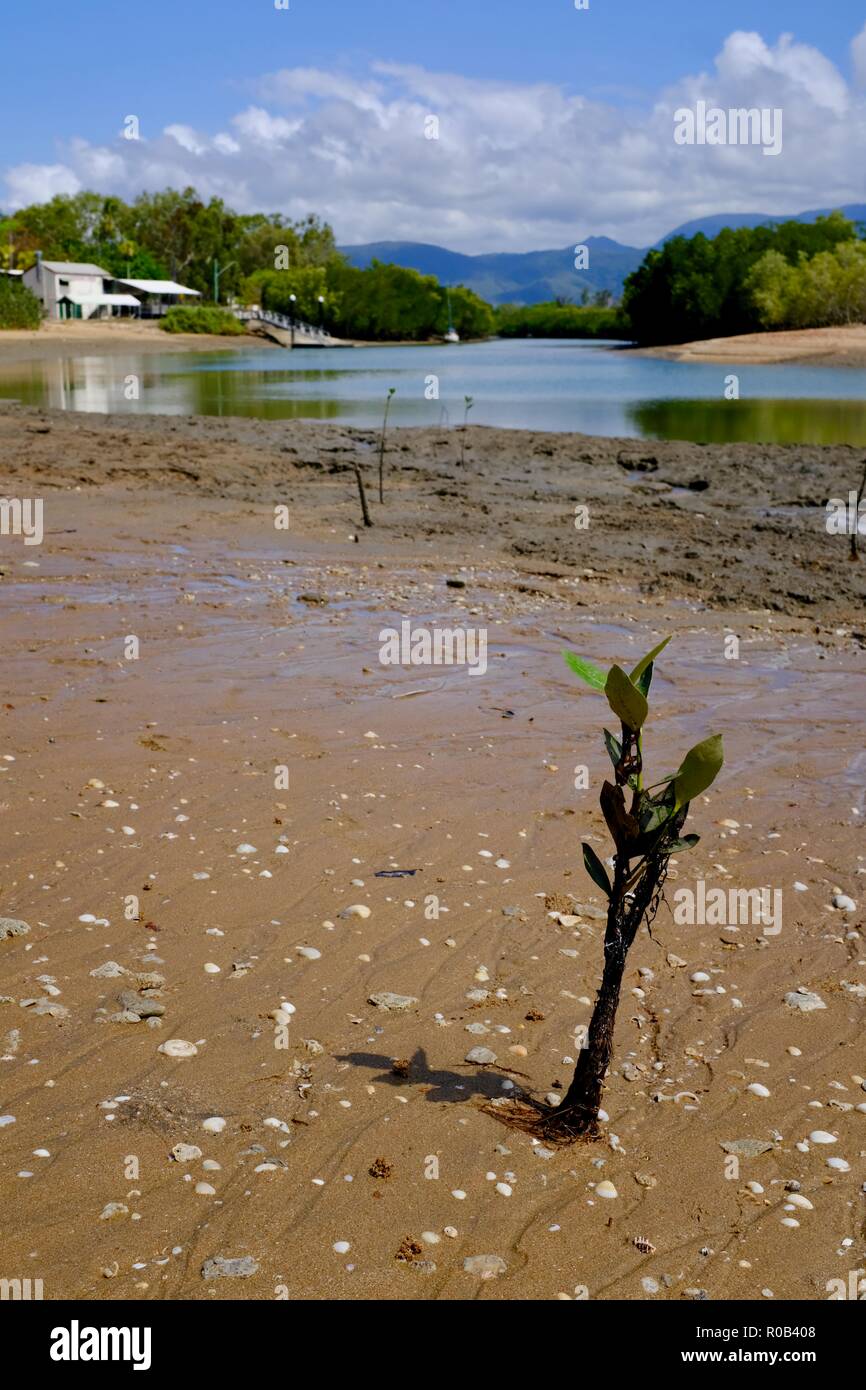 Balgal beach, QLD, Australia Stock Photo - Alamy