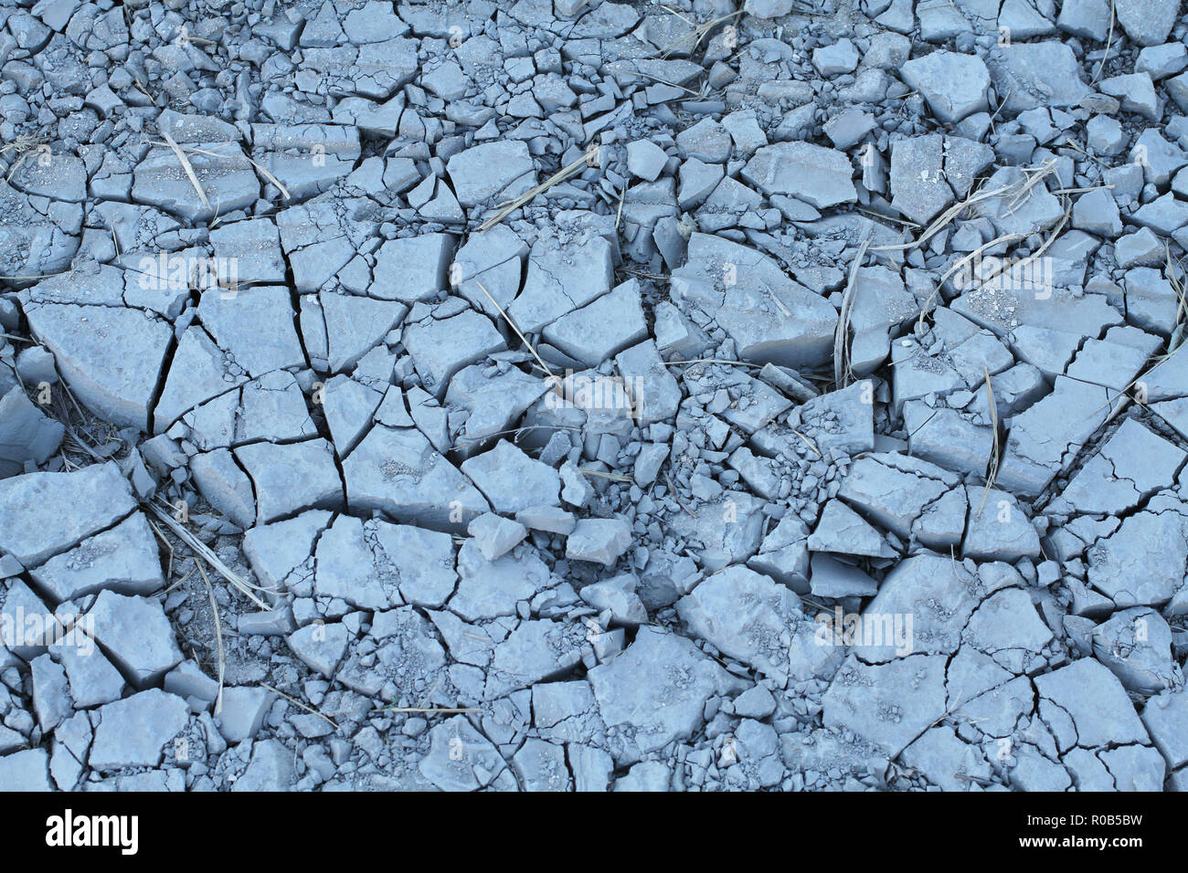 Dried cracked ground. Closeup. View from above Stock Photo - Alamy