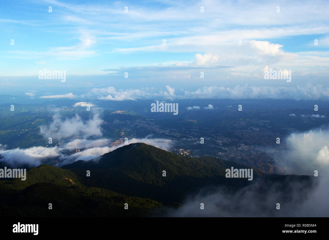 Nature in its maximum splendor. Landscapes, birds, flowers and gardens ...