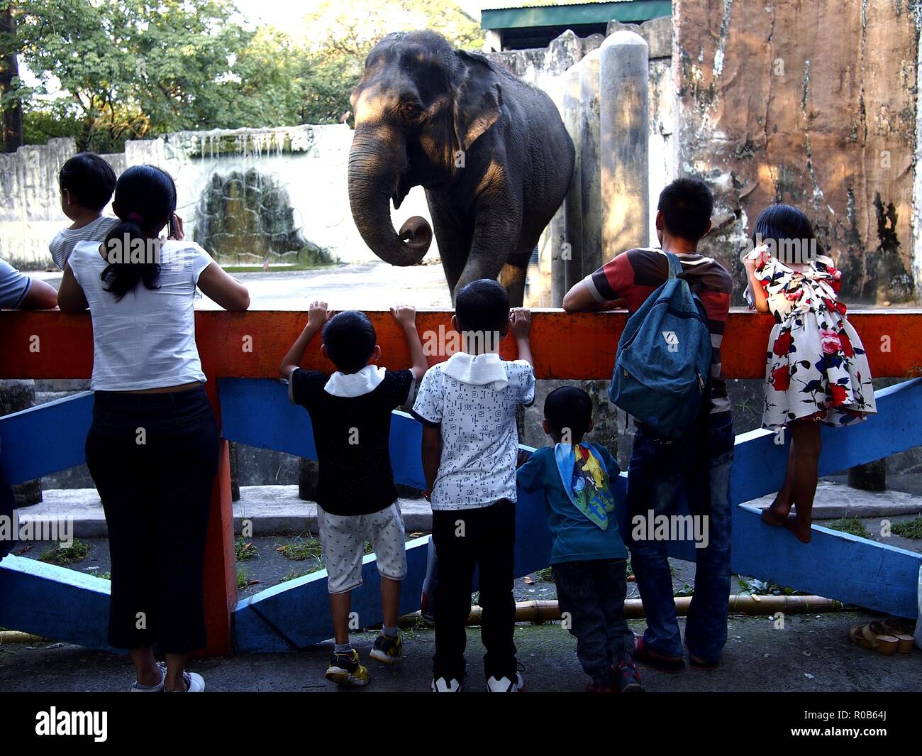 Manila zoo hi-res stock photography and images - Alamy