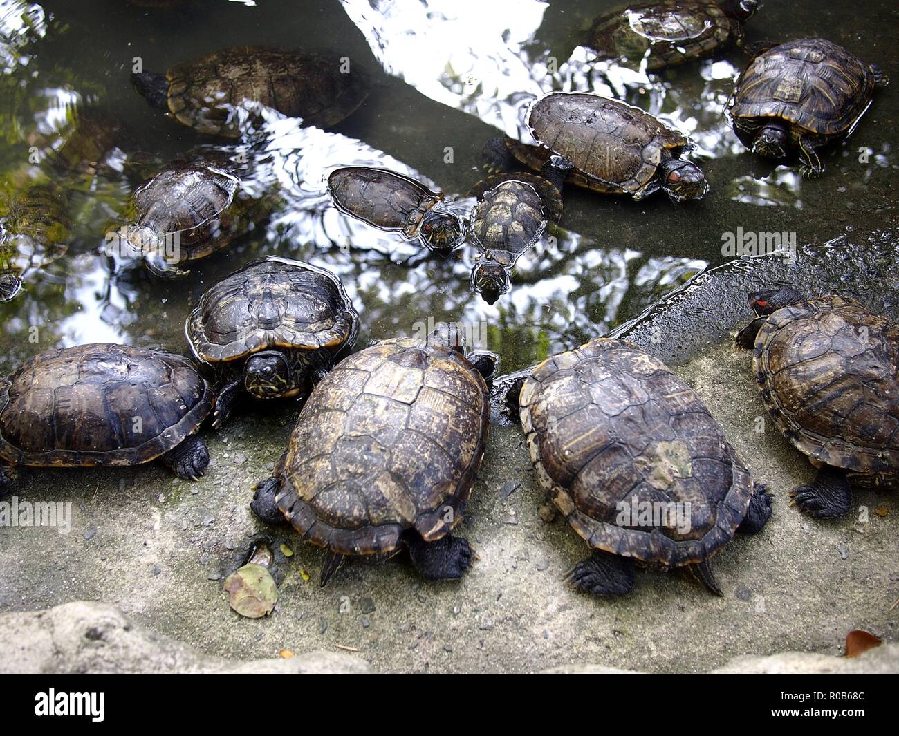 MANILA CITY, PHILIPPINES - NOVEMBER 1, 2018: Park visitors enjoy the ...