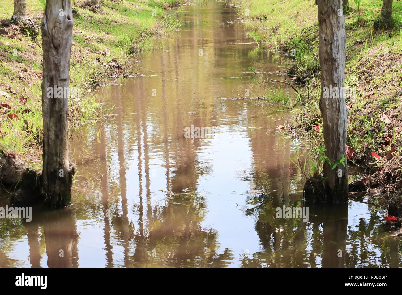 Water canal in plantation Stock Photo - Alamy