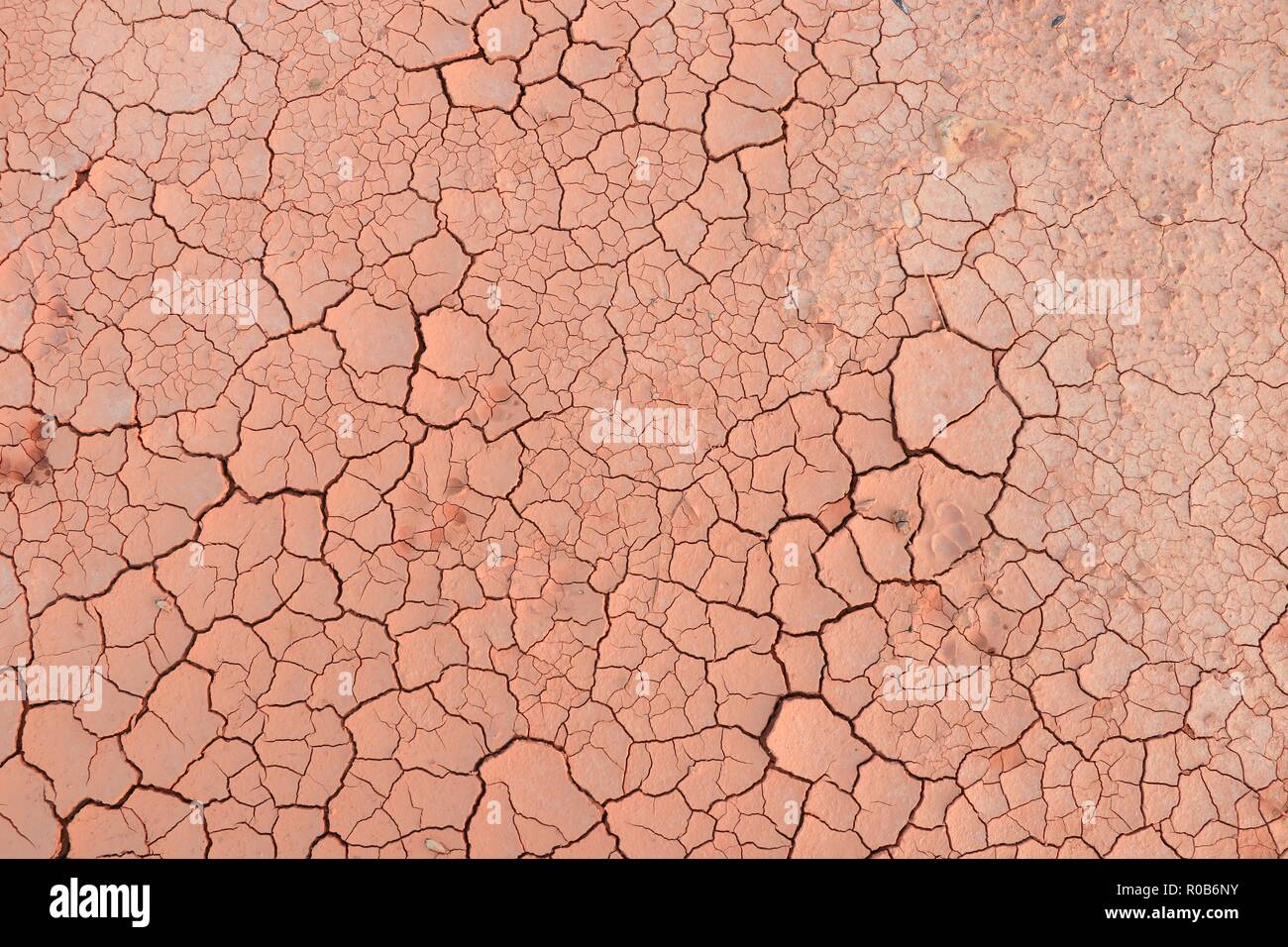 cracked clay ground into the dry season without water Stock Photo - Alamy