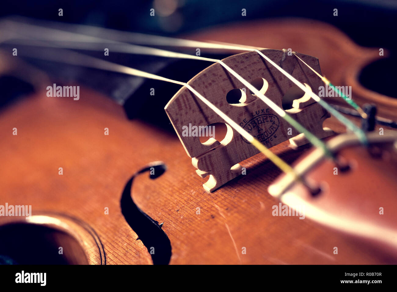 Violin viola cello bass hi-res stock photography and images - Alamy