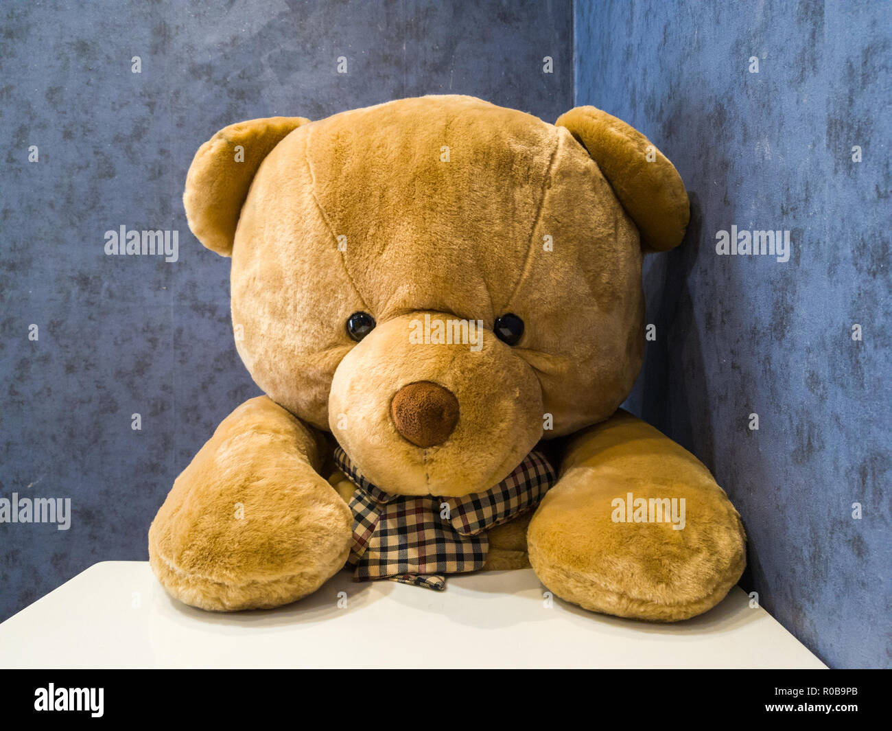 Cute teddy bear sit on the chair in front of dining table. Make it seem ...