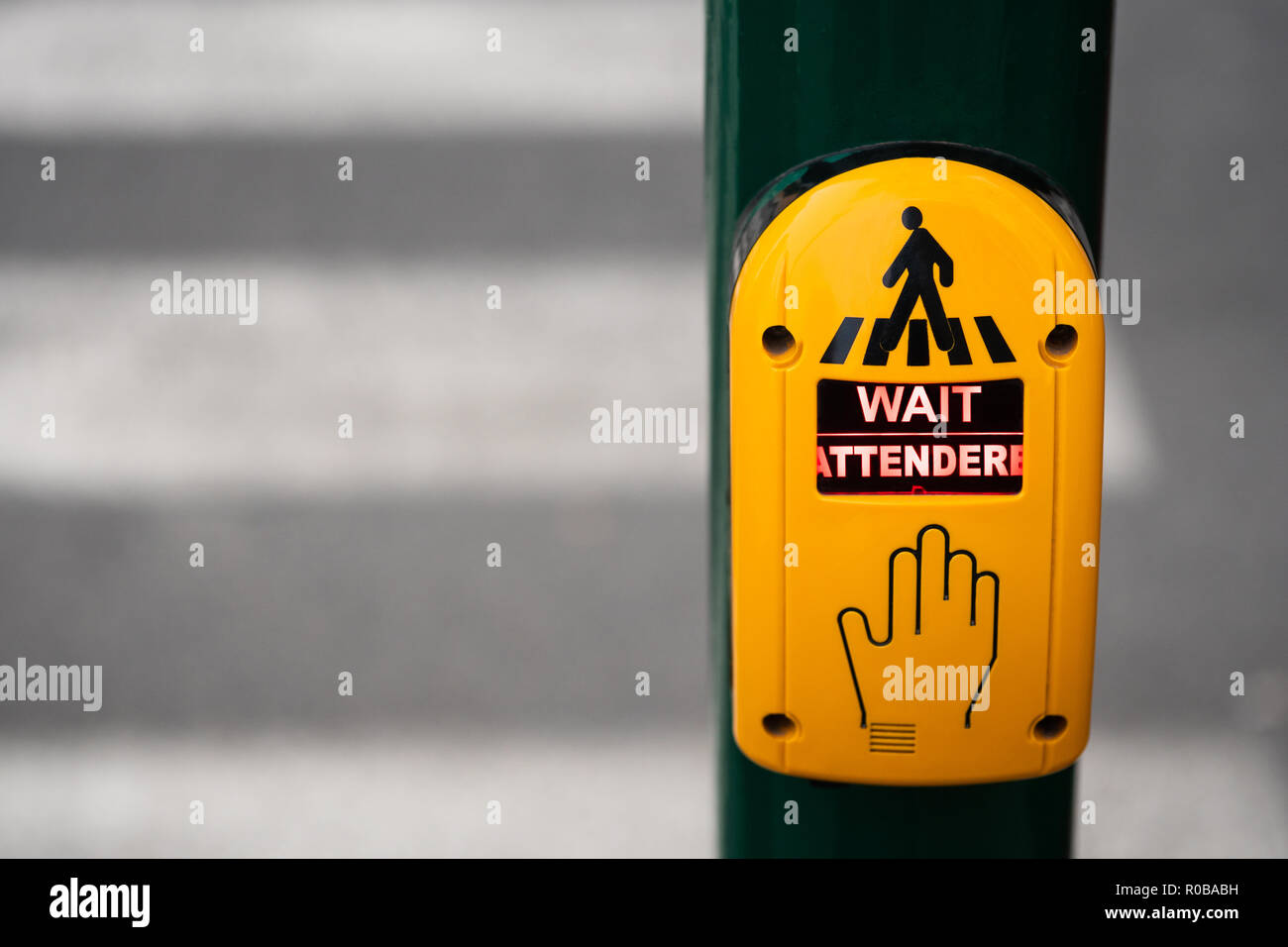 Wait sign traffic light on pedestrian crossing Stock Photo - Alamy