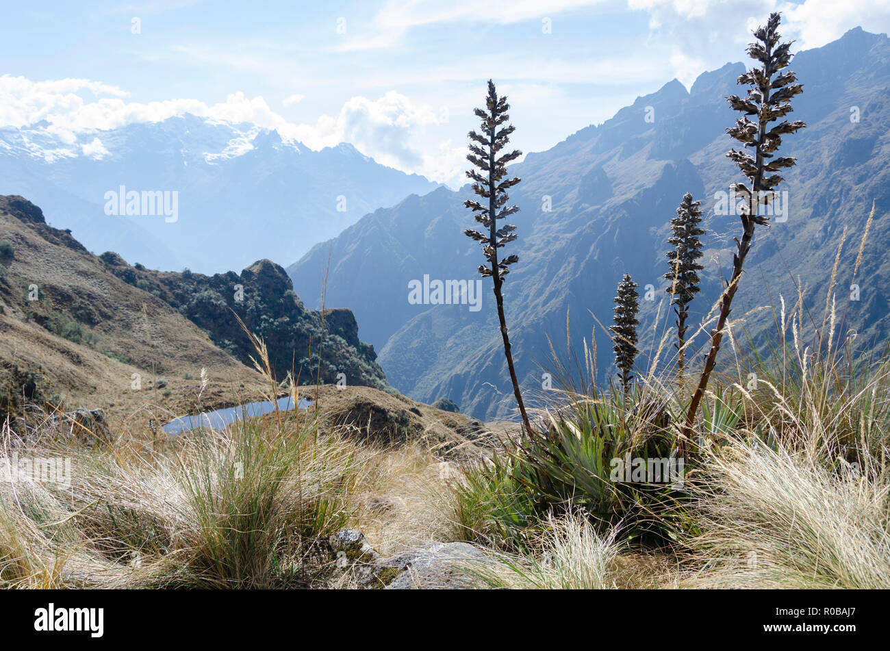 Andes mountains, from the Inca Trail, Peru Stock Photo - Alamy
