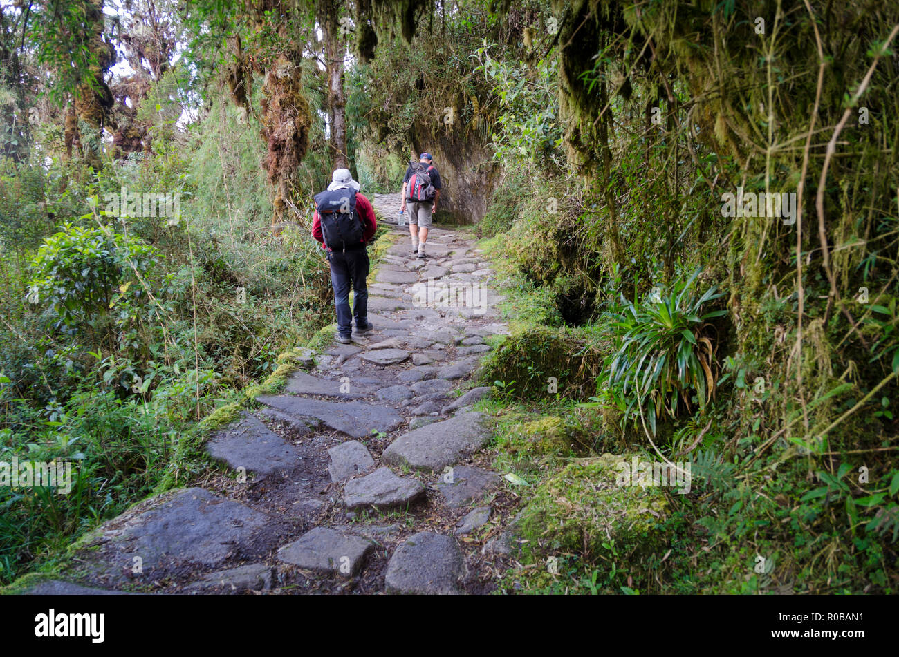 The Classic Inca Trail, Peru Stock Photo - Alamy