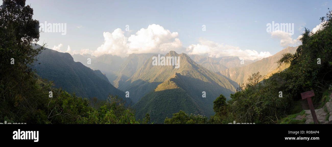 Inca tree hi-res stock photography and images - Alamy