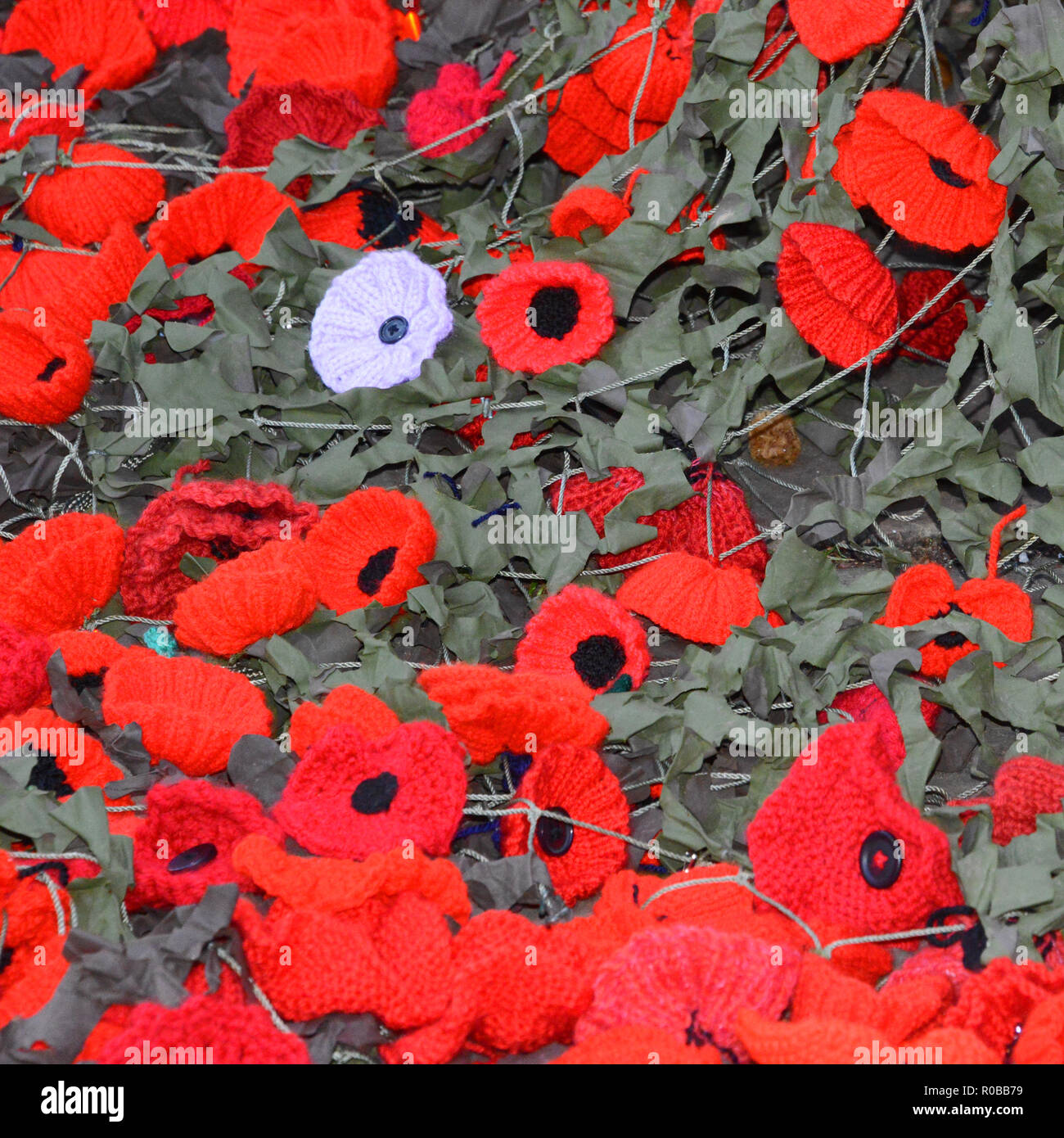 Many people knitted poppies for the display around the Corn Exchange ...