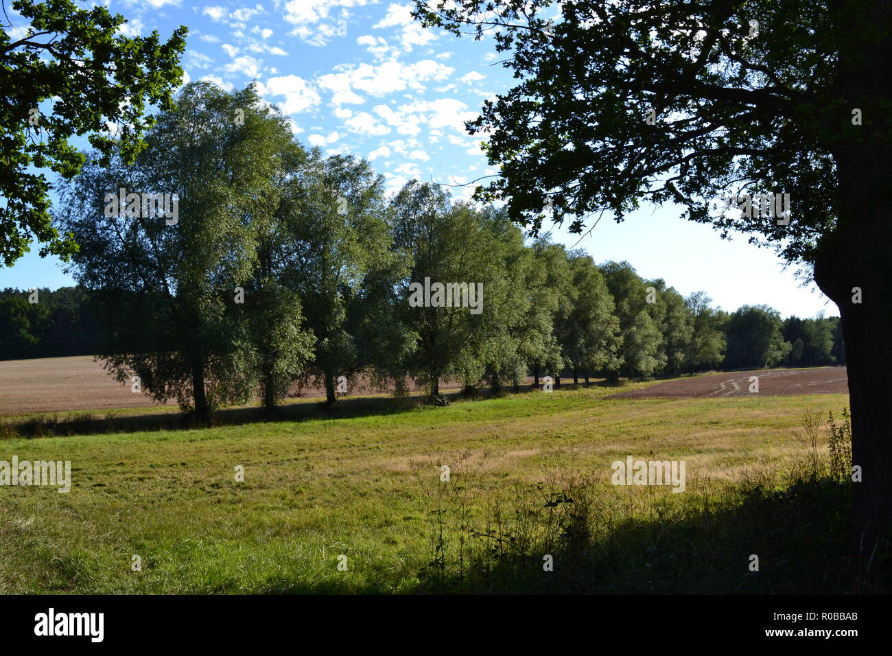 Fairlawne estate land hi-res stock photography and images - Alamy