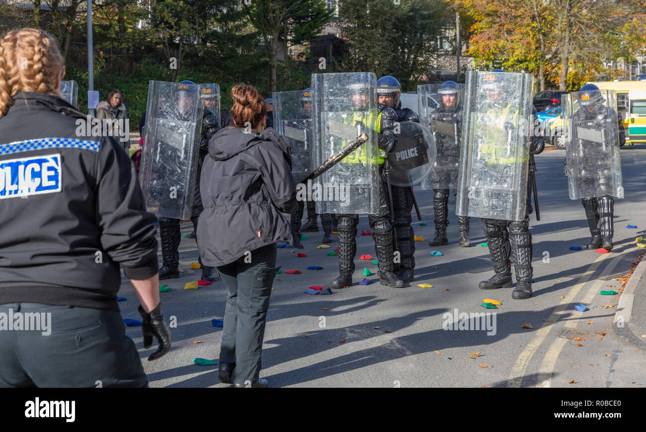 A Demonstration to the public of riot police tactics at a police open ...