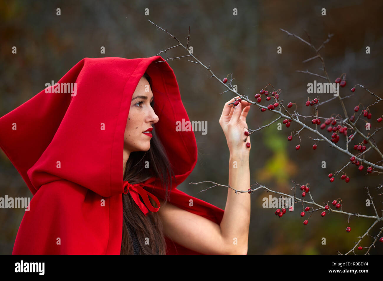 Woman dressed as Red Riding Hood in various postures in the forest ...