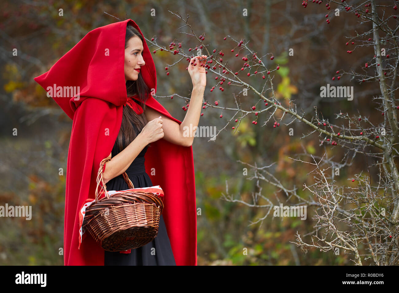 Woman dressed as Red Riding Hood in various postures in the forest ...