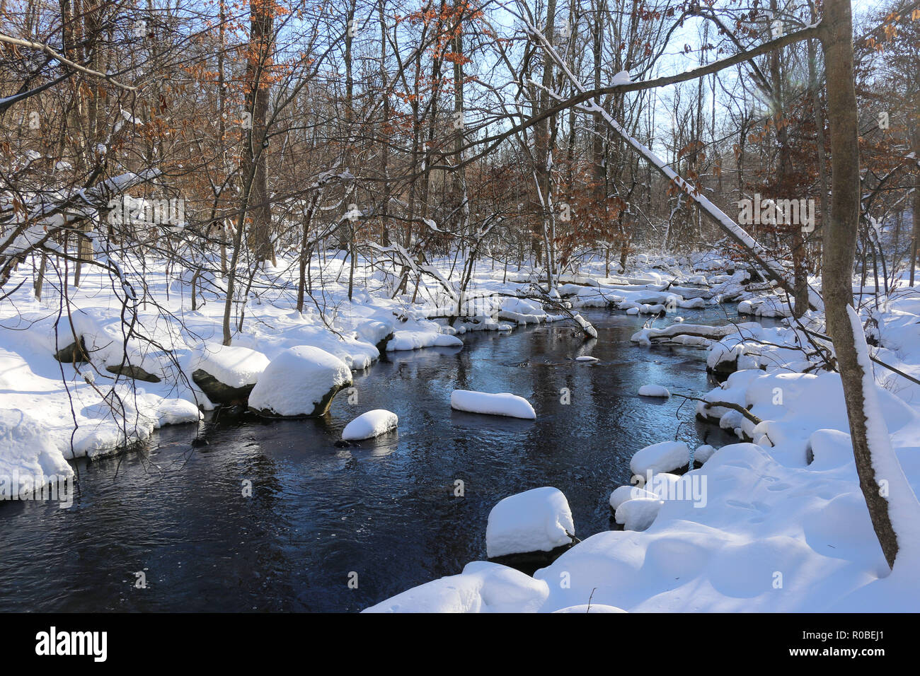 A winter stream surrounded by woods and snow Stock Photo - Alamy