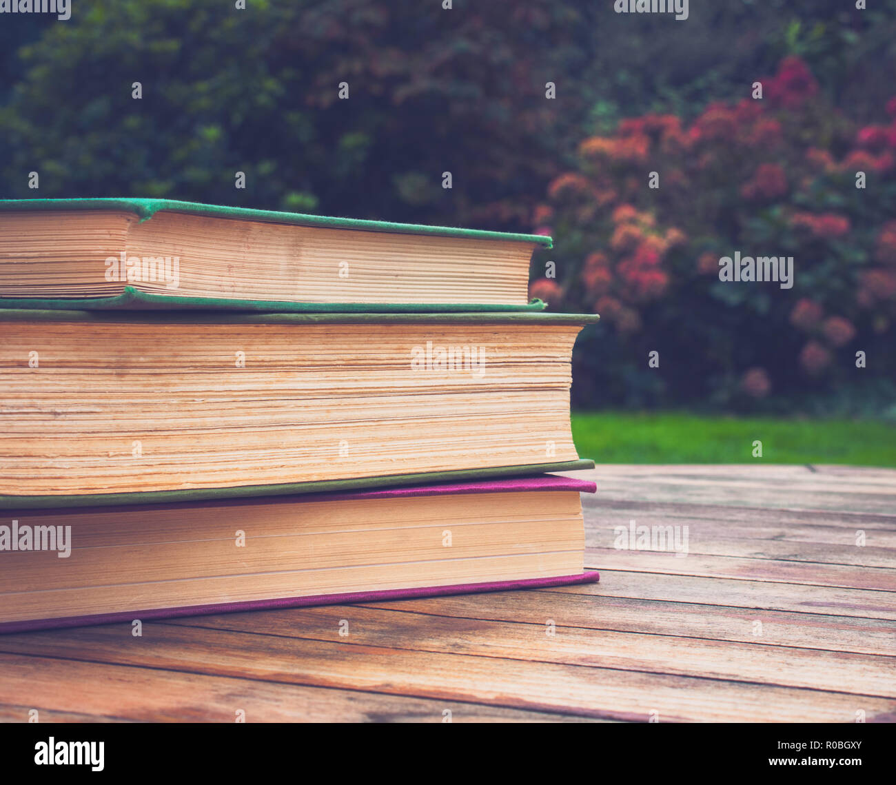 A stack of books on a garden table, with garden plants in the ...