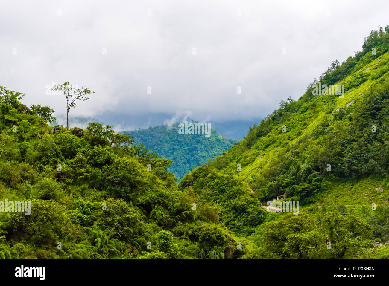 Nature view in Annapurna Conservation Area, a hotspot destination for ...