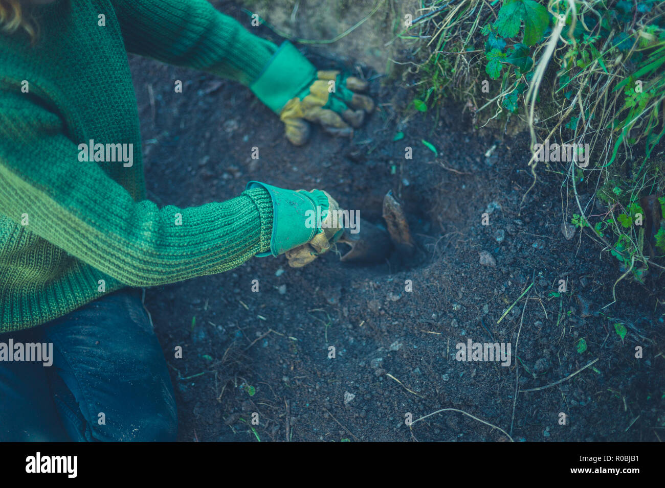 A gardener is digging a hole around a metal spike Stock Photo - Alamy