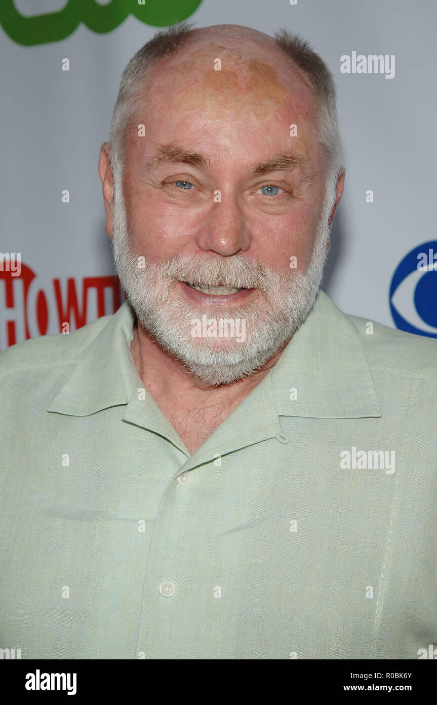 Robert David Hall - CBS-CW and Showtime - tca Summer Party 2008 at the ...