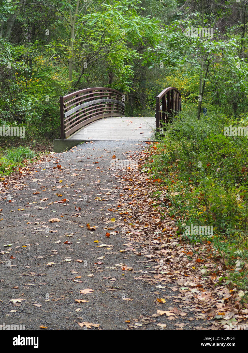 Small wood walking bridge in a forrest Stock Photo - Alamy