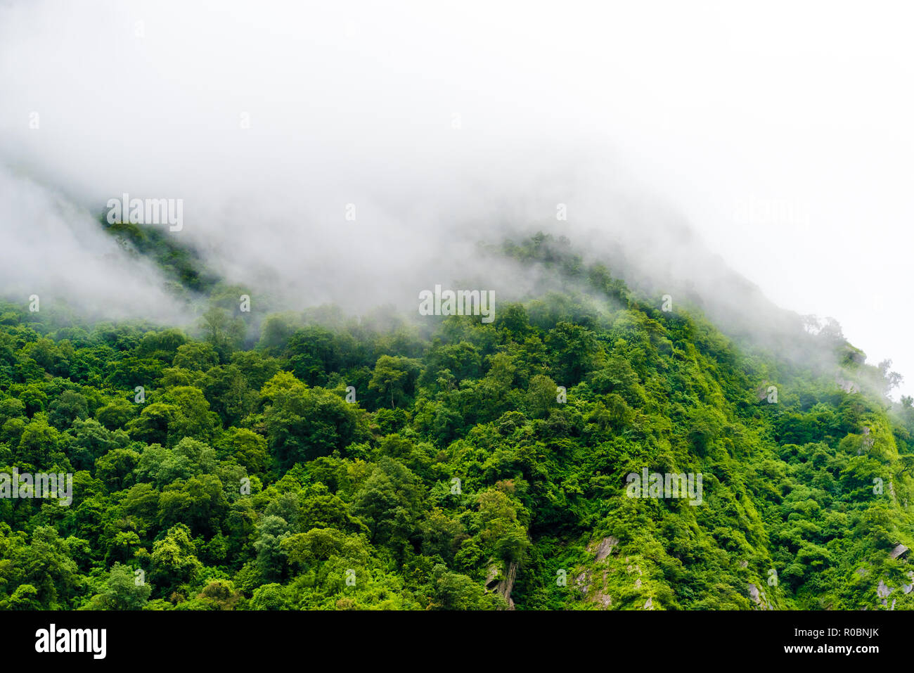 Nature view in Annapurna Conservation Area, a hotspot destination for ...