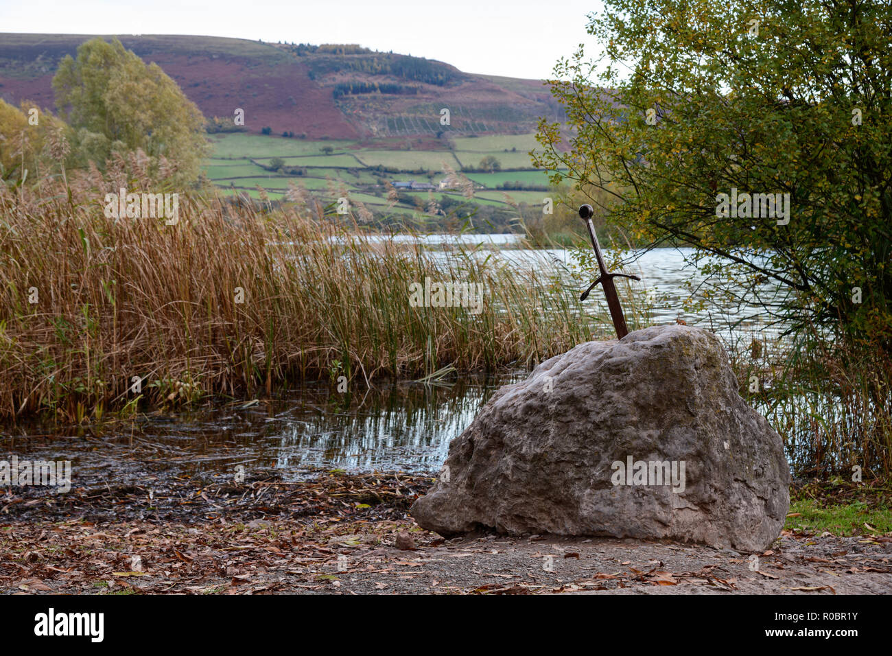 Excalibur the famous sword in the stone of king Arthur in the forest ...
