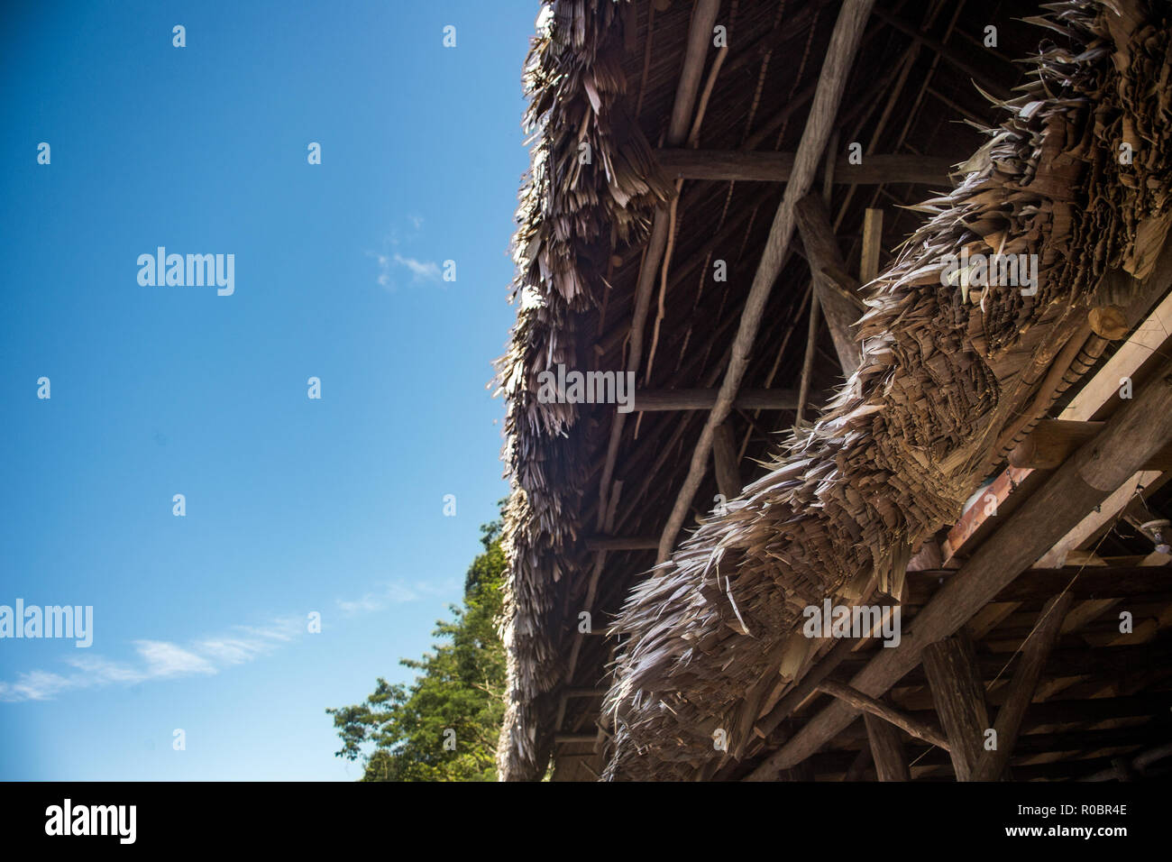Typical straw roof of traditional wooden house in rural Guatemala ...