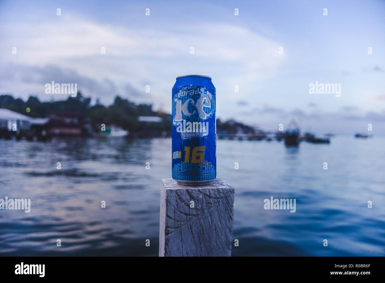 Cold beer can hi-res stock photography and images - Alamy