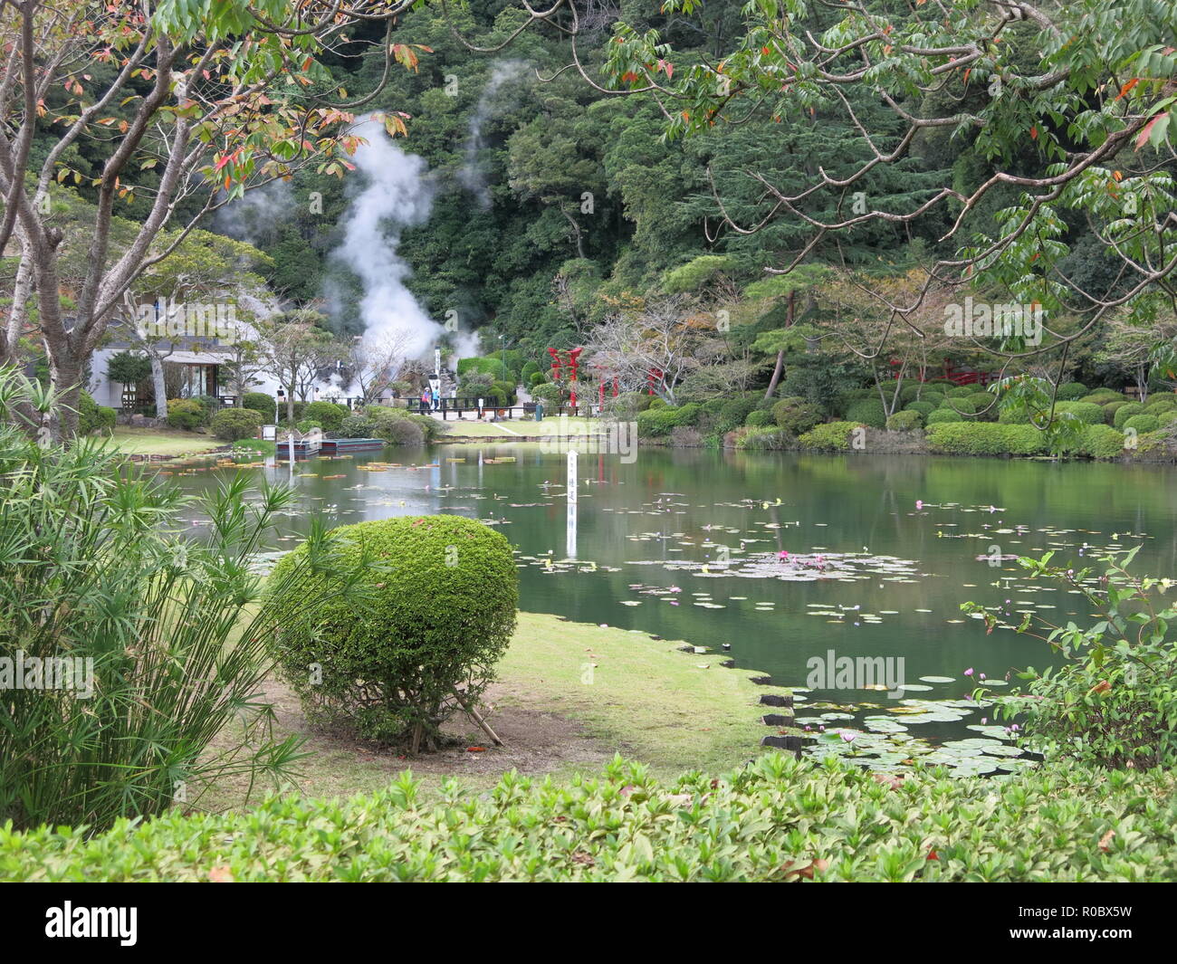 A view of the steam rising from the hot springs at one of the 8 "Hells ...