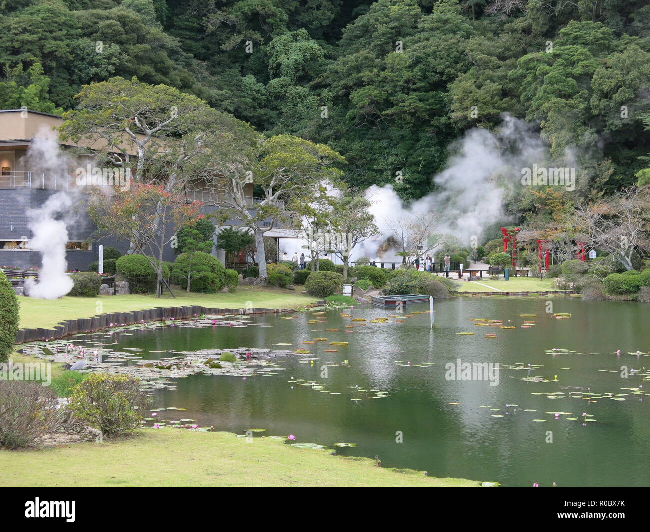 A view of the steam rising from the hot springs at one of the 8 "Hells ...