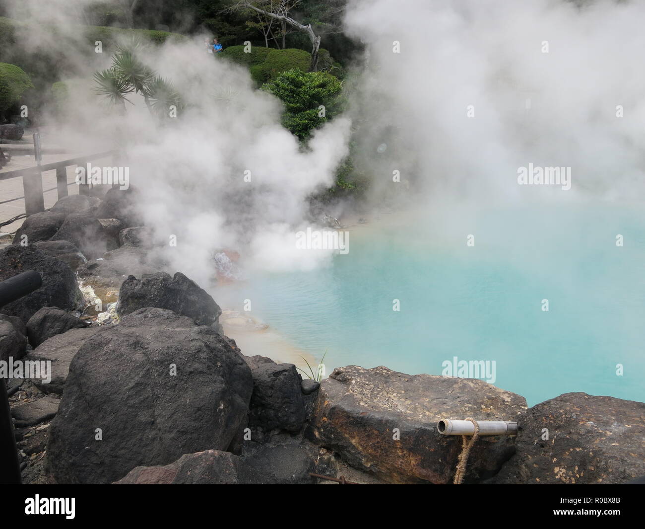 A view of the steam rising from the hot springs at one of the 8 "Hells ...