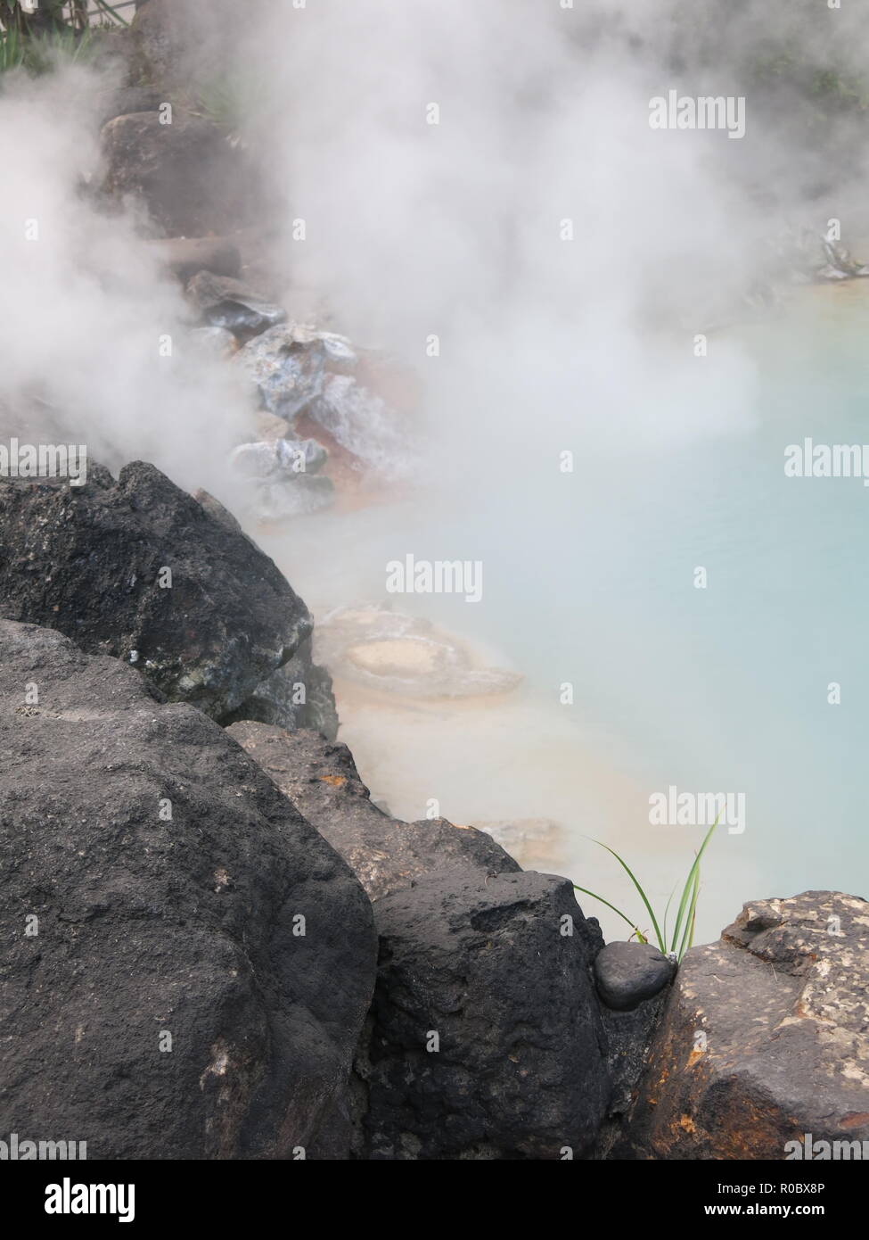 A view of the steam rising from the hot springs at one of the 8 "Hells ...