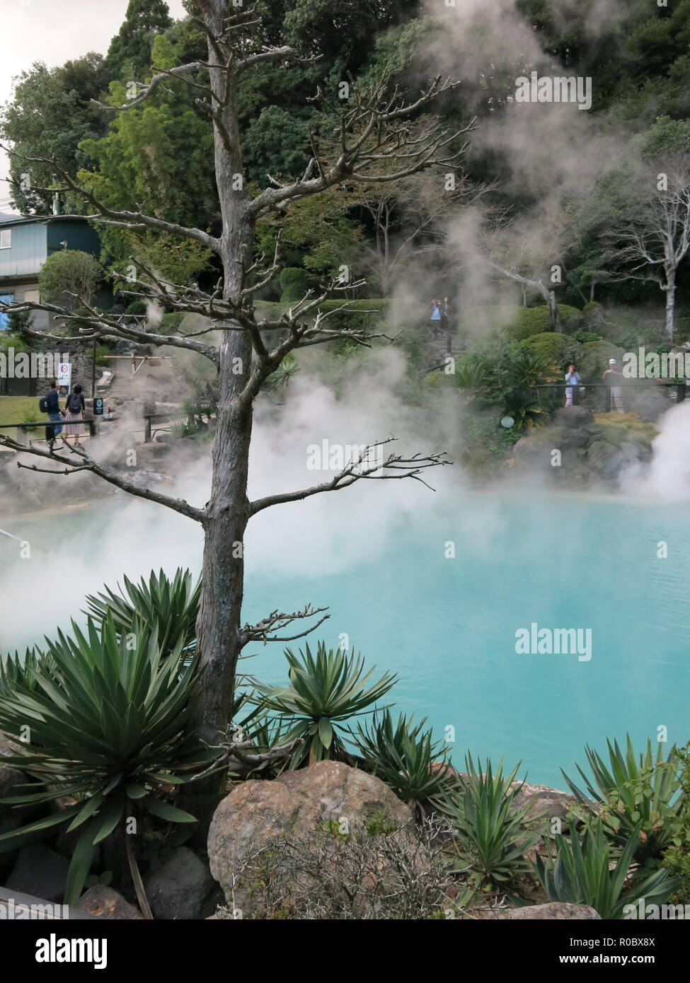 A view of the steam rising from the hot springs at one of the 8 "Hells ...