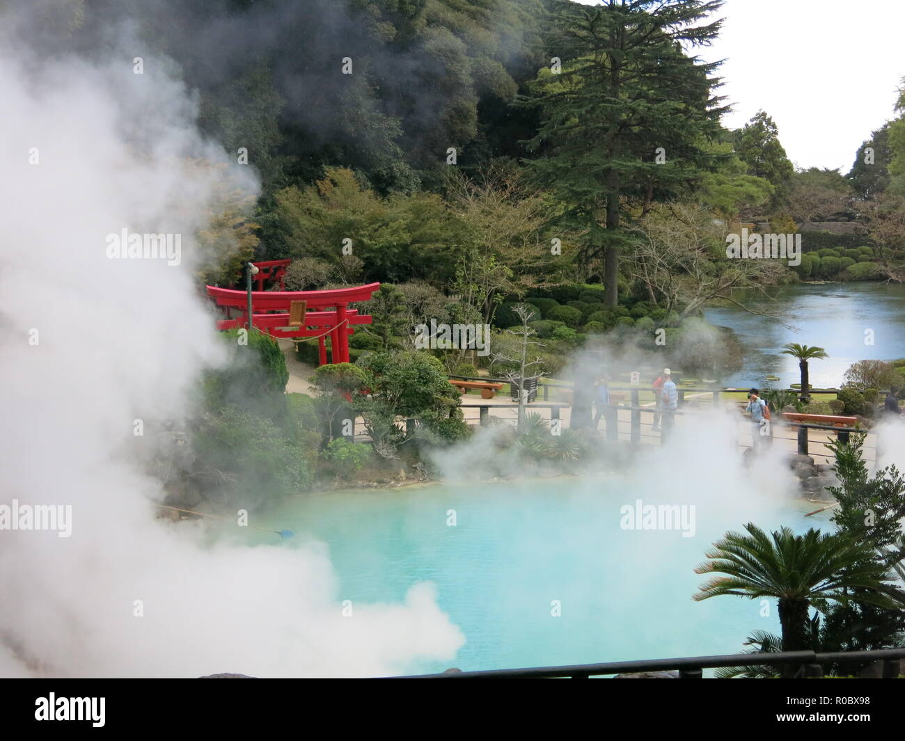 A view of the steam rising from the hot springs at one of the 8 "Hells ...