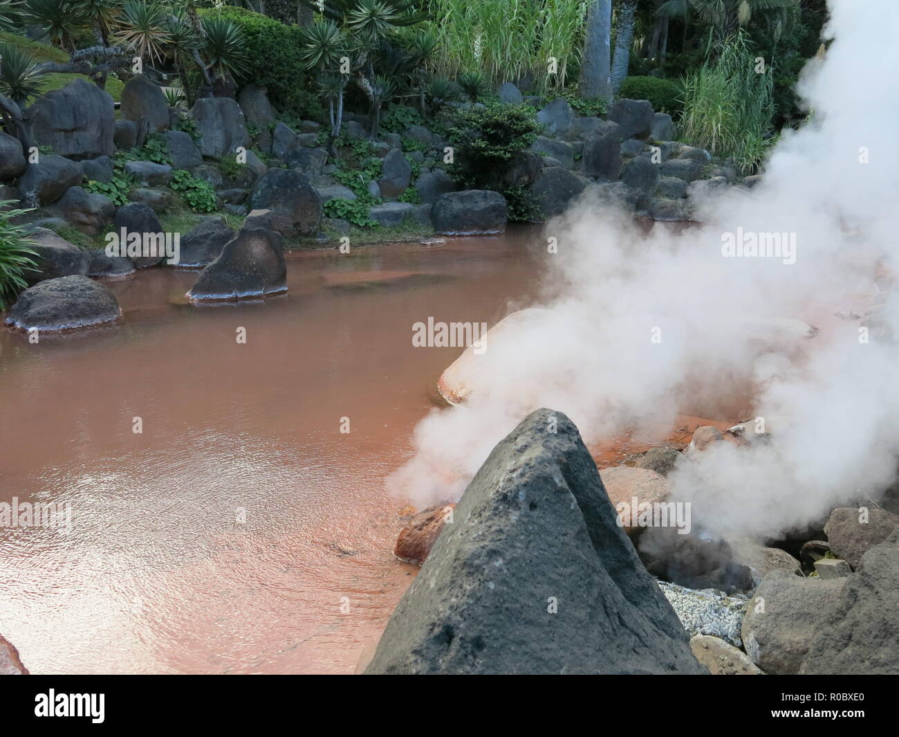 A view of the steam rising from the hot springs at one of the 8 "Hells ...