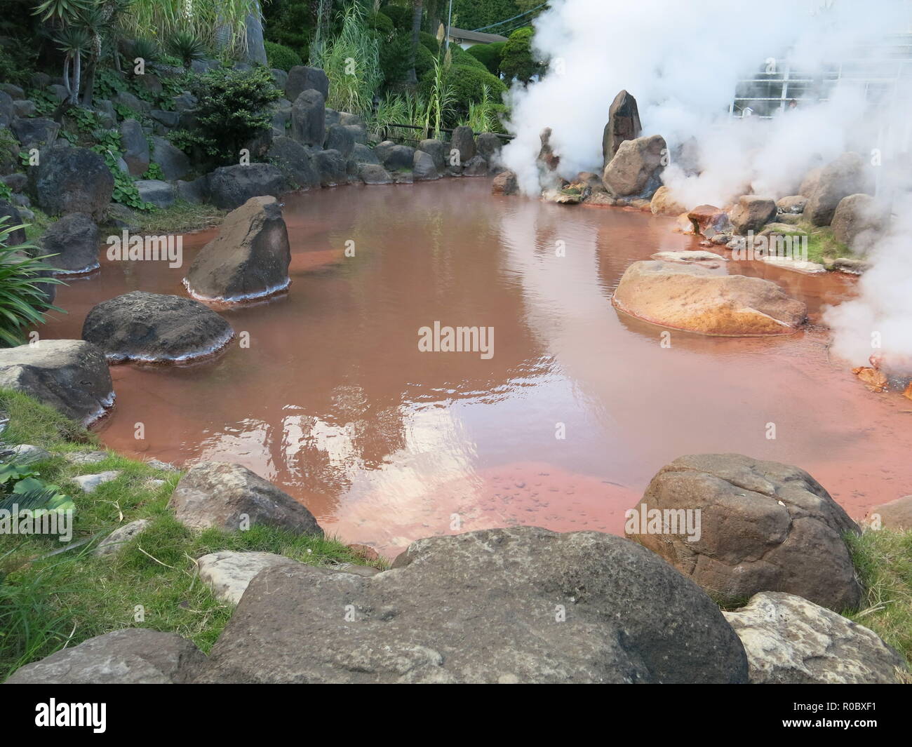 A view of the steam rising from the hot springs at one of the 8 "Hells ...