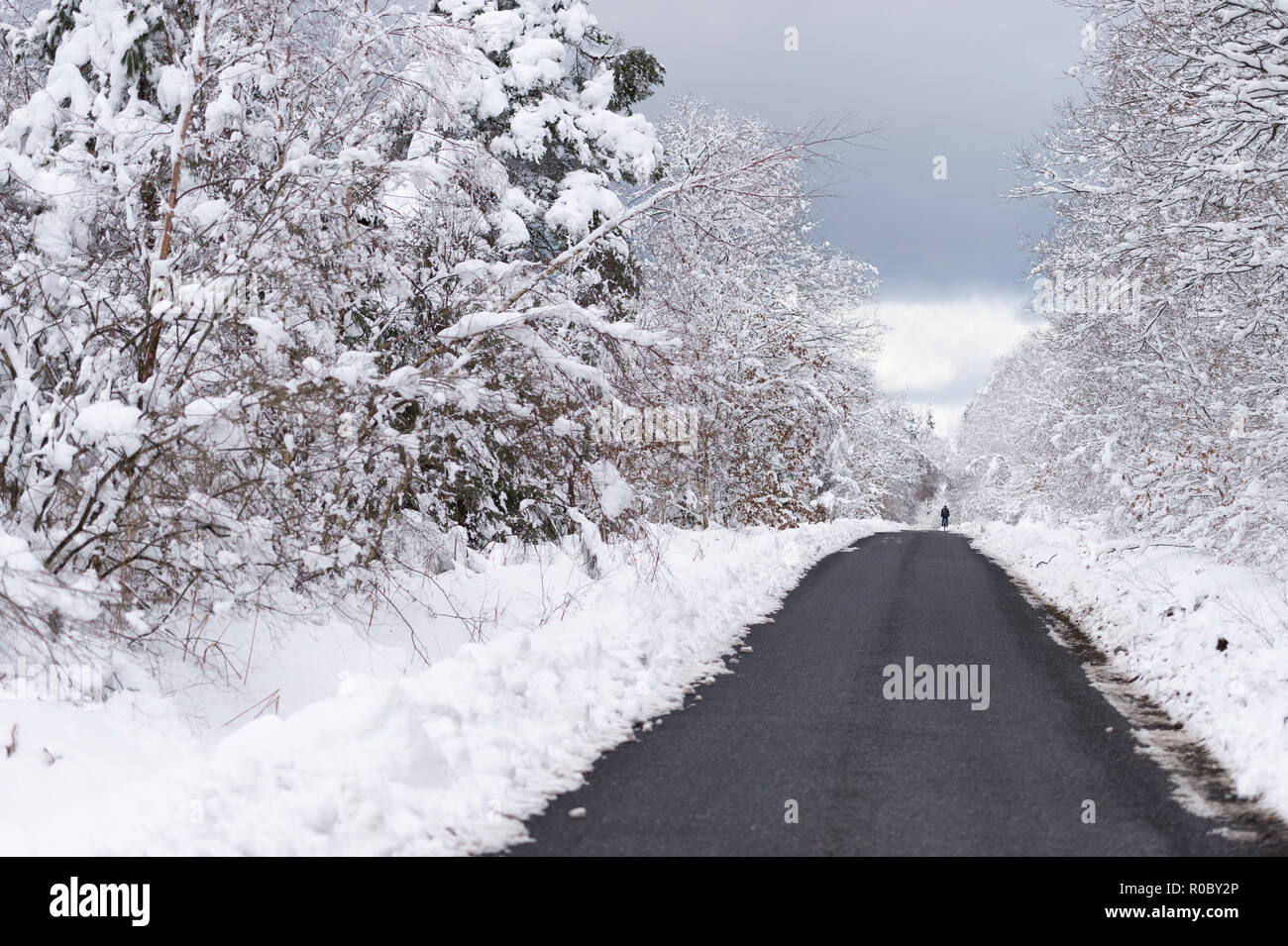 Ardennes mountain range hi-res stock photography and images - Alamy