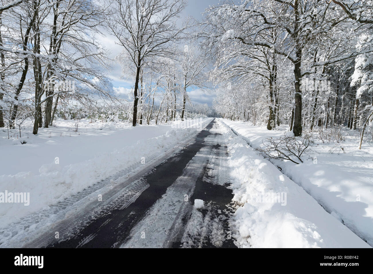 Landscape of the Ardennes mountain range in winter, country road and ...