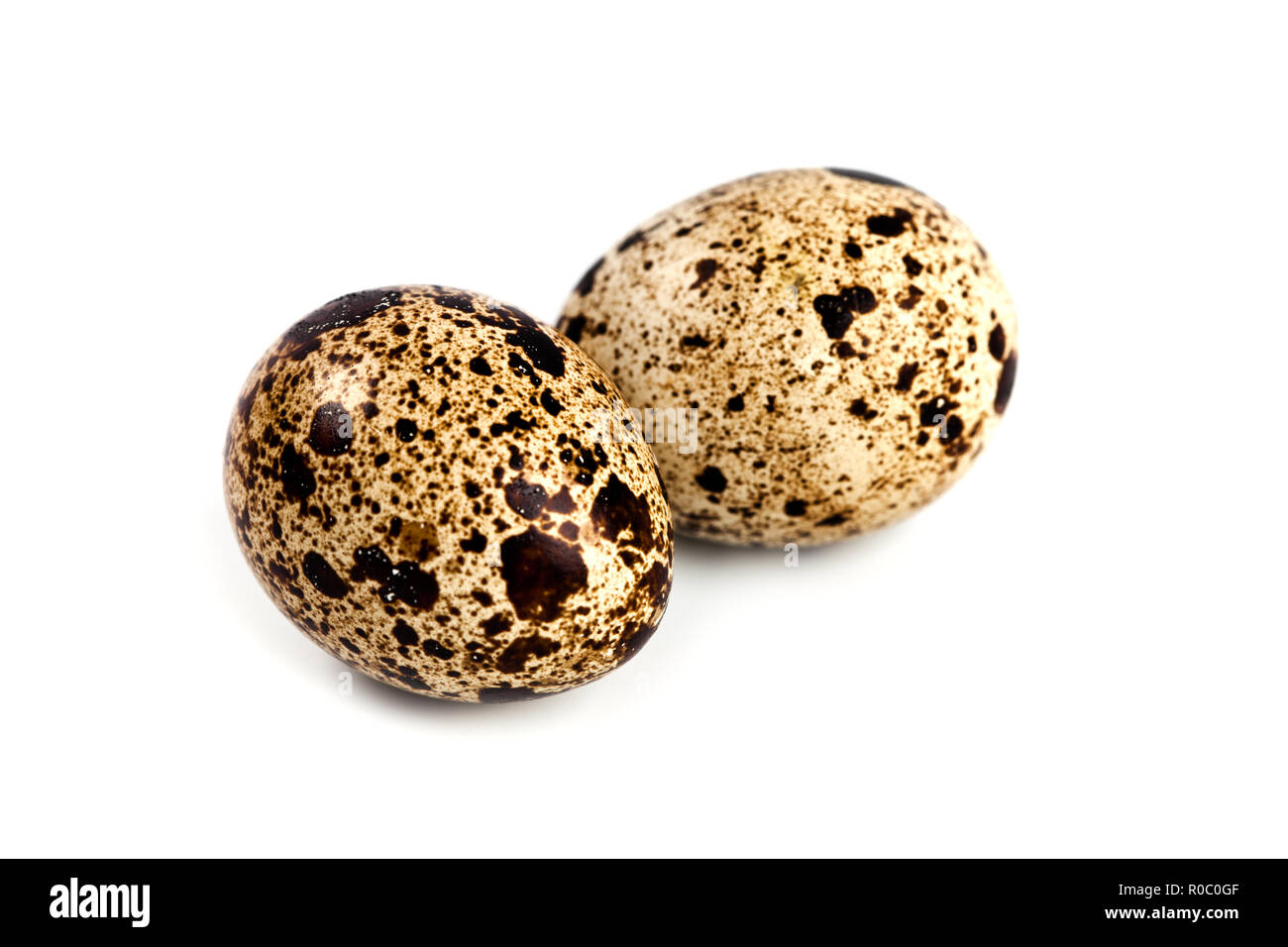 two quail eggs isolated on white background Stock Photo - Alamy