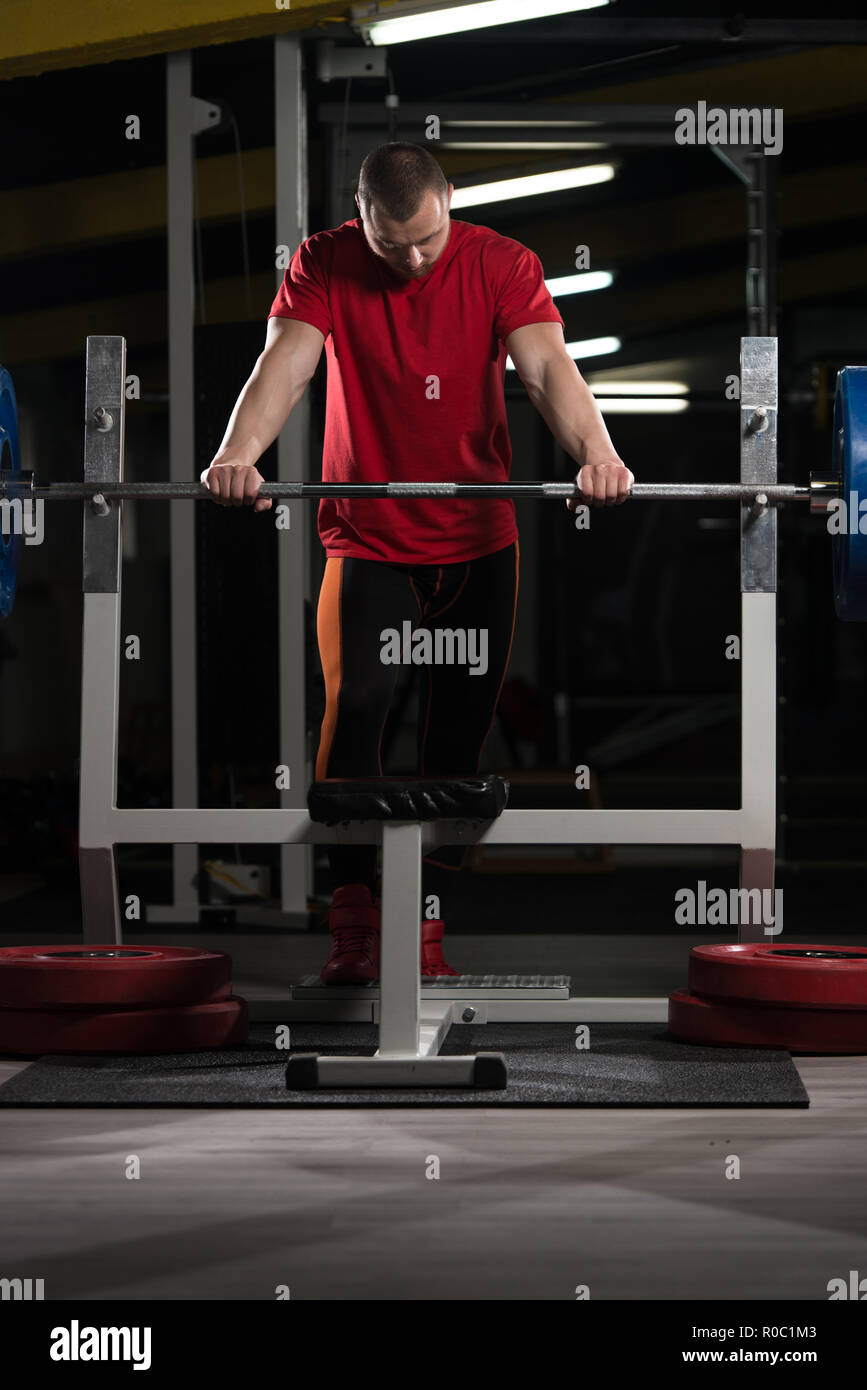 Portrait of Muscular Powerlifter Bodybuilder Fitness Model Standing ...