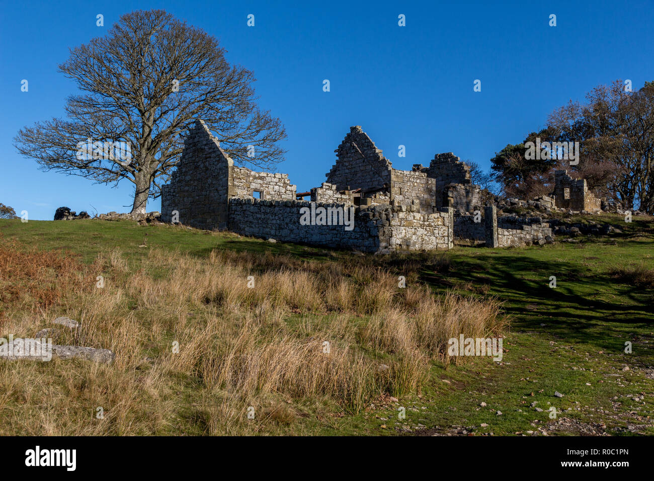 The abandoned farm of Blawearie on Bewick Moor at Old Bewick ...