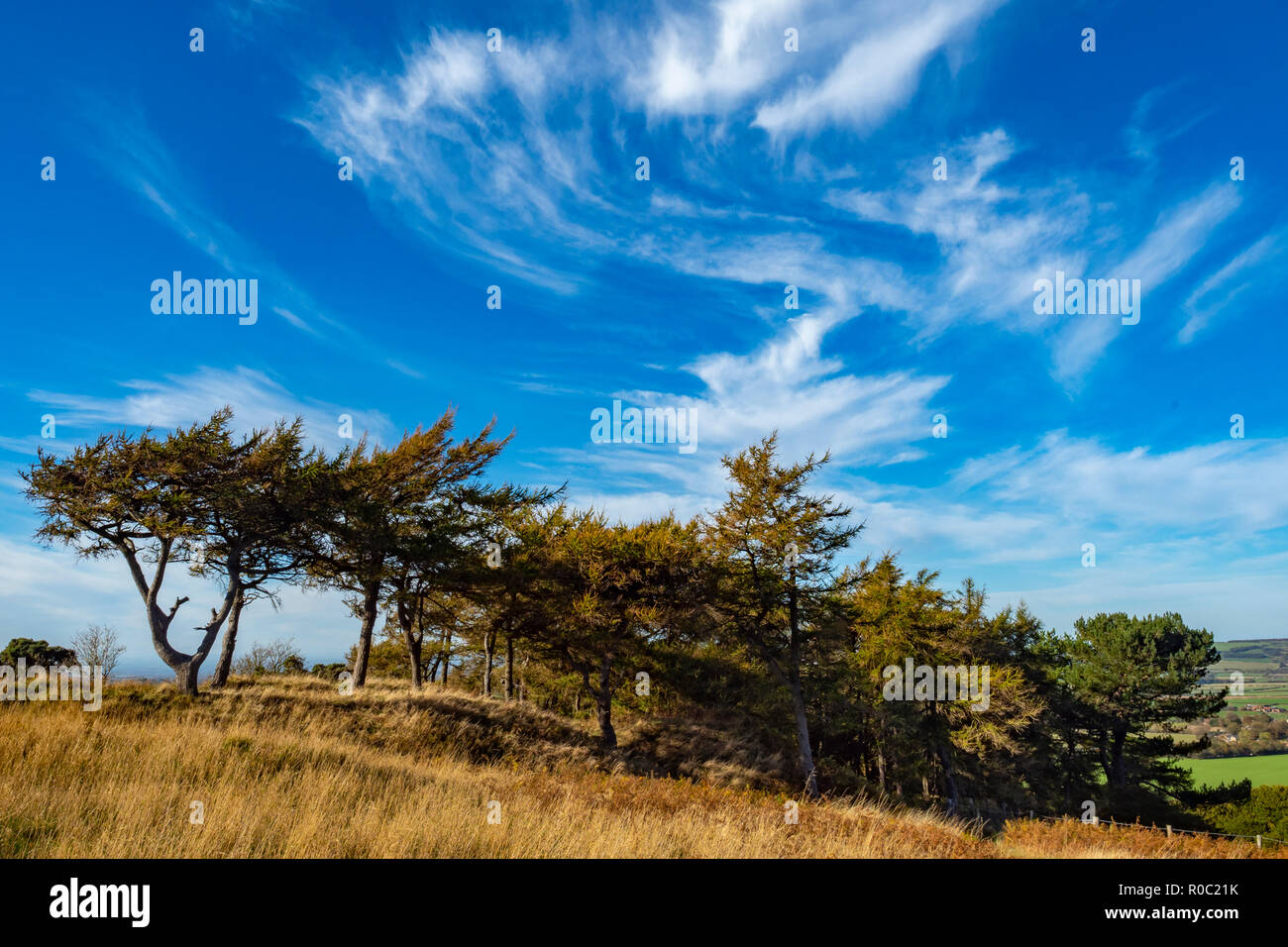 North yorshire national park hi-res stock photography and images - Alamy