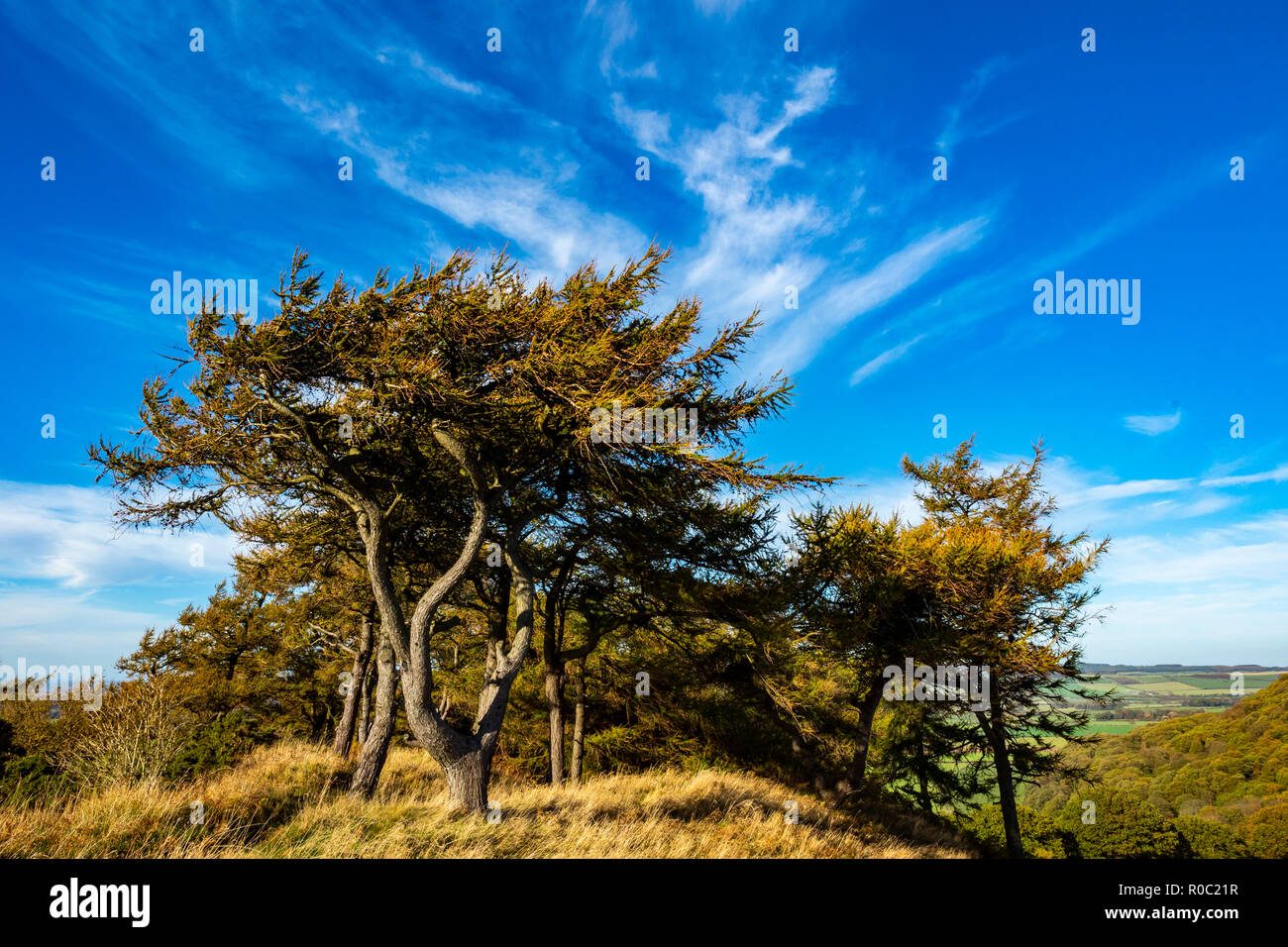 North yorshire moors hi-res stock photography and images - Alamy