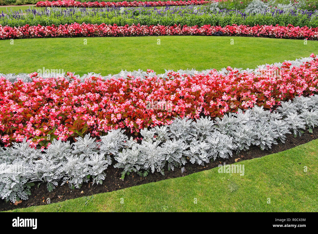 Beautiful garden lawn with colorful flowers in rows Stock Photo - Alamy