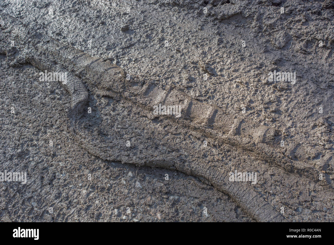 Muddy country road in autumn time. Metaphor 'stick in the mud', muddy ...