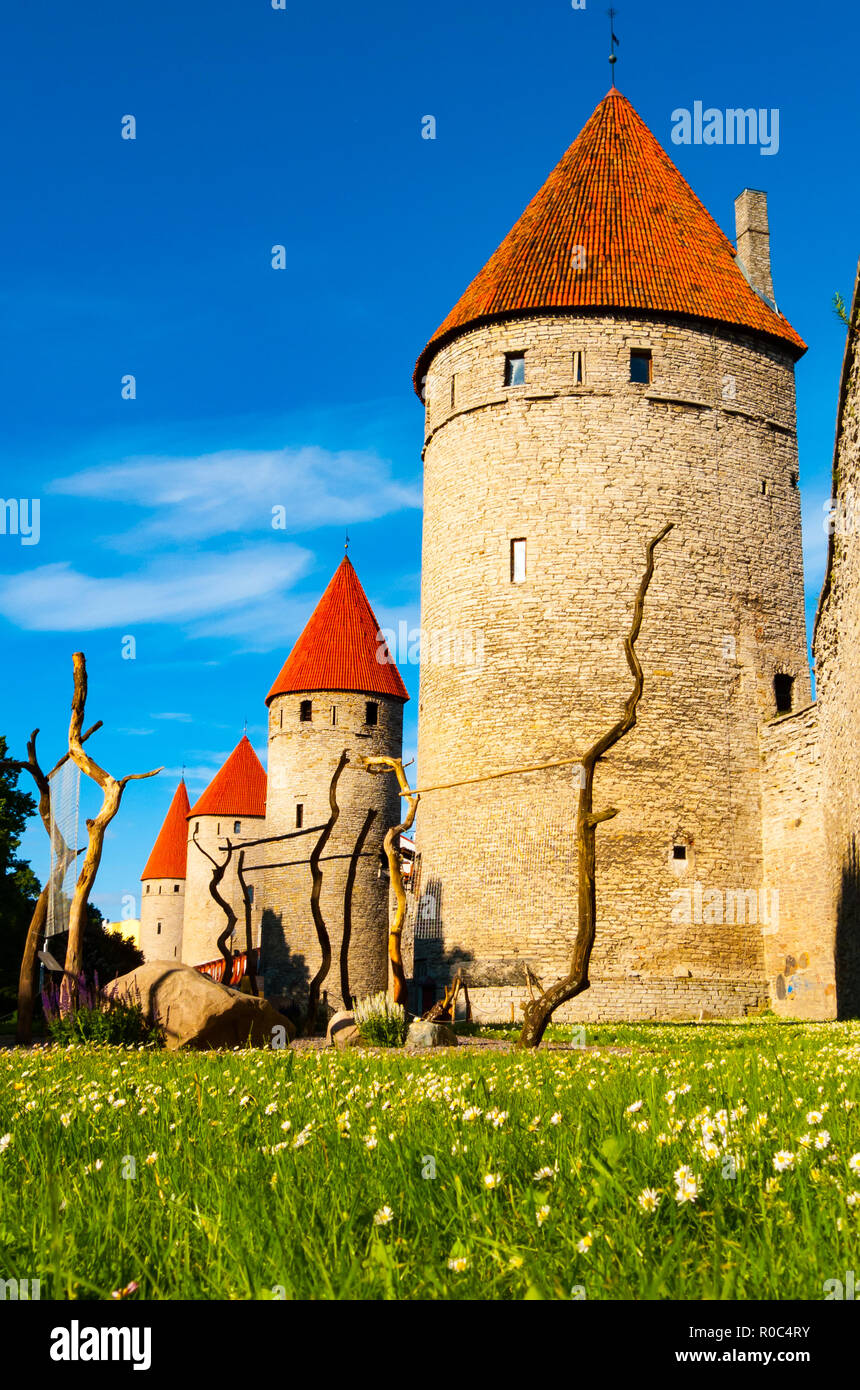 Vertical view of towers of the city wall in Tallinn, Estonia, Europe ...