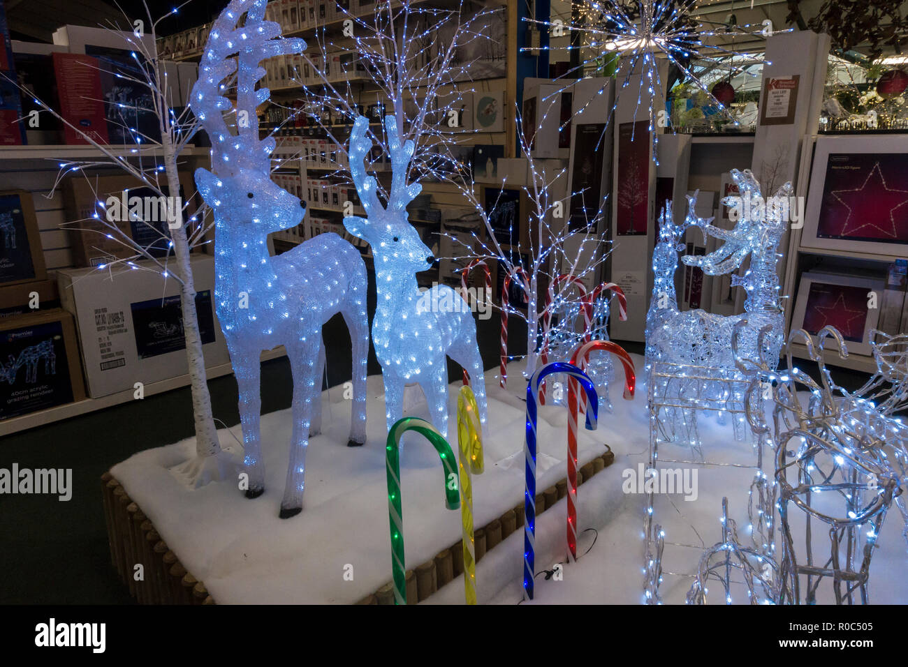 Christmas illuminated reindeer on display Stock Photo - Alamy
