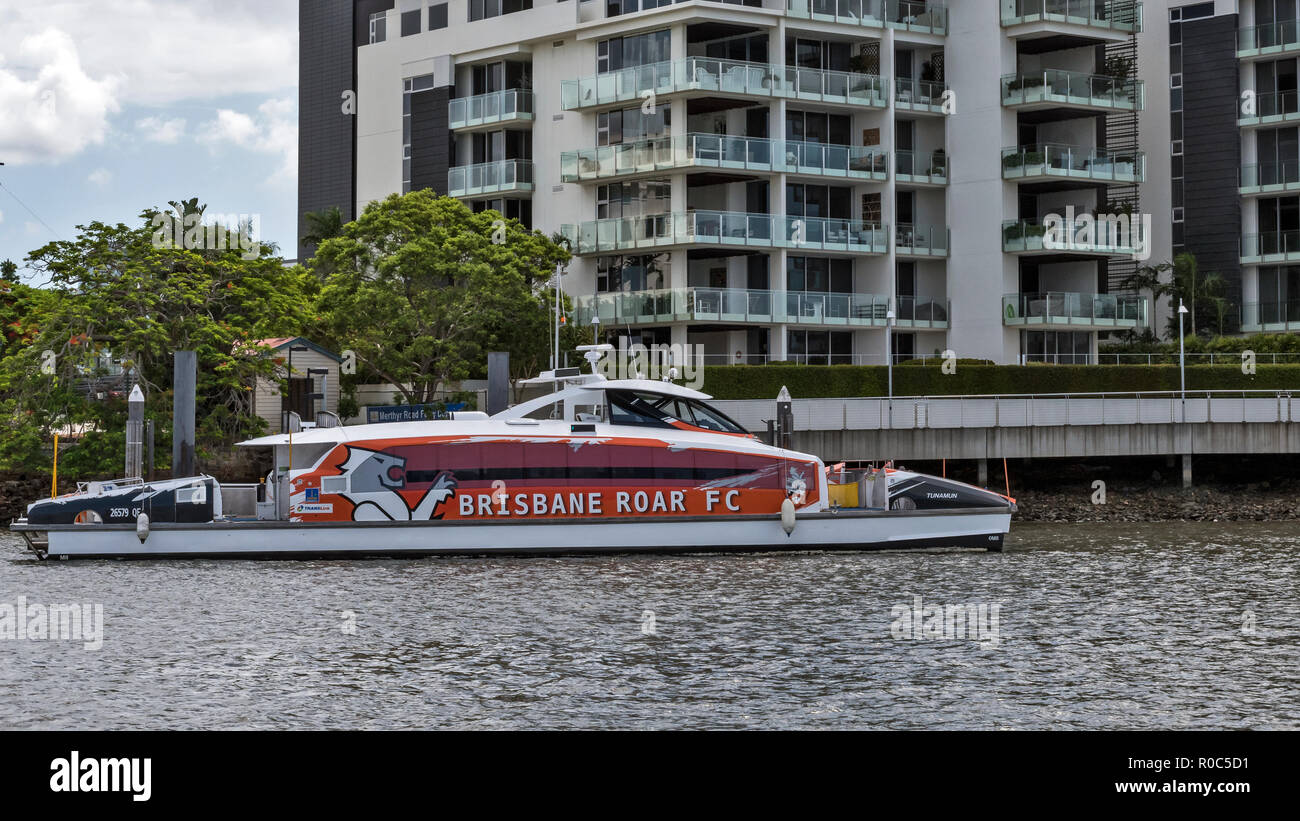 Brisbane city cat hi-res stock photography and images - Alamy